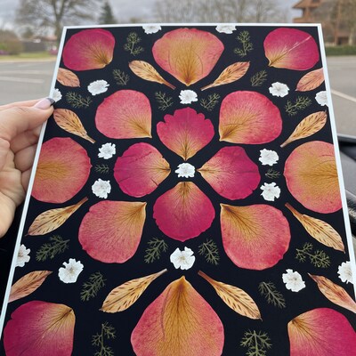 Modern Floral Wall Art Nature Inspired Art Print Real Flower Poster ...