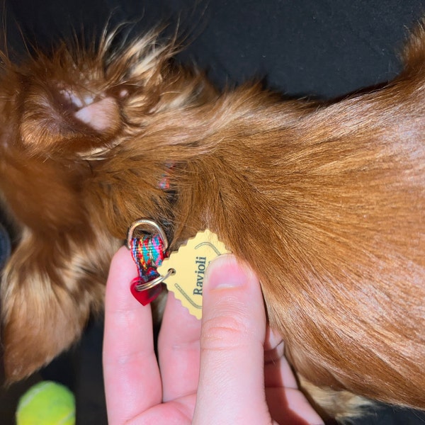 Ravioli Pasta Personalized Pet Tag, Food Pet ID Tag, Noodle Cat and Dog ...