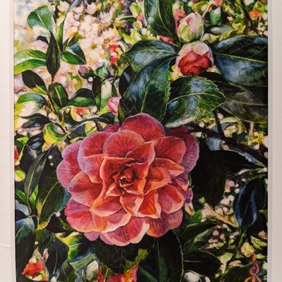 David Austin English Roses Fine Art Print of Watercolor Painting - Etsy