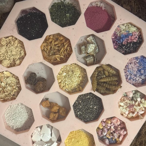 V6 Engine Ice Block | 3D Printed | Can Cooler - 6 Can + Ice Cooler ...