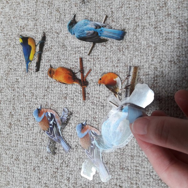 Bird PET Sticker ｜parrot Quill Bird Sparrow Nature Insect Themed PET ...