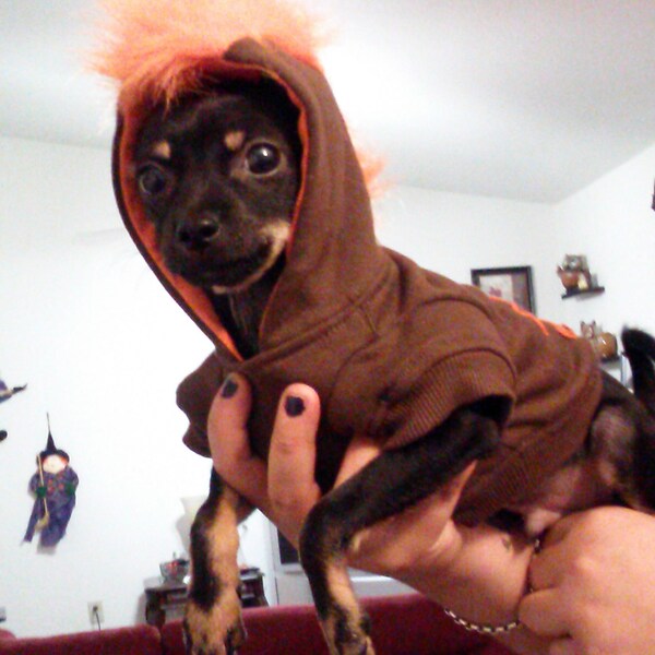 DVD the Entity (1982) Barbara Hershey, Ron Silver, David Labiosa ...