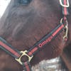 SMALL/MEDIUM Embroidered Halter Sleeves, Custom Horse Halter Name Tag ...
