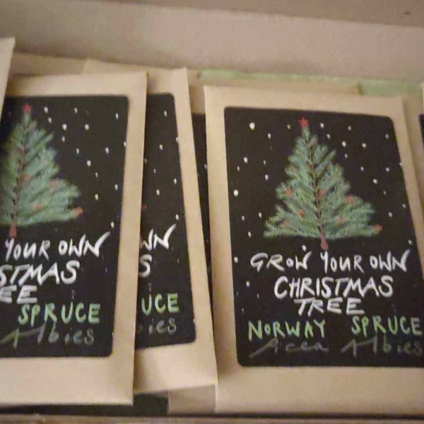 Grow Your Own Norway Spruce Christmas Tree Seeds: Eco Stocking Filler ...
