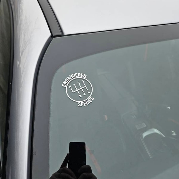 6 Speed Gear - Endangered Species - Stick Shift - Manual Car - Car ...