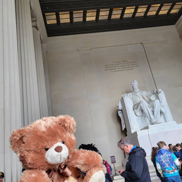 Ostomy Bear, Ostomy, Teddy Bear, Pediatric, Ileostomy, Surgery ...