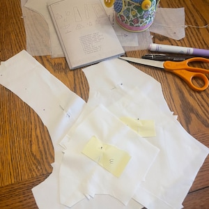 Butterick 3418 1880s-1890s Skirt Sewing Pattern, Sizes 6-8-10 & 12-14 ...