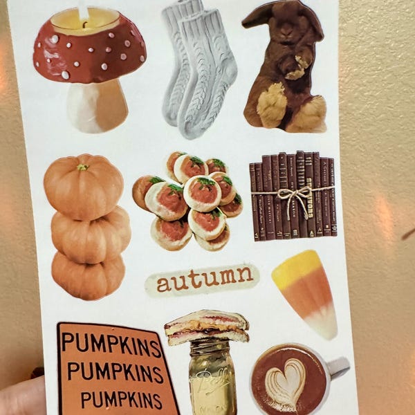 Mystery Sticker Pack - Pinterest Aesthetic Stickers,coquette Sticker ...