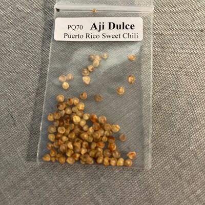 50 Aji Dulce Puerto Rico Rainbow Pepper Seeds Ajicito, Ajíes, Ají ...