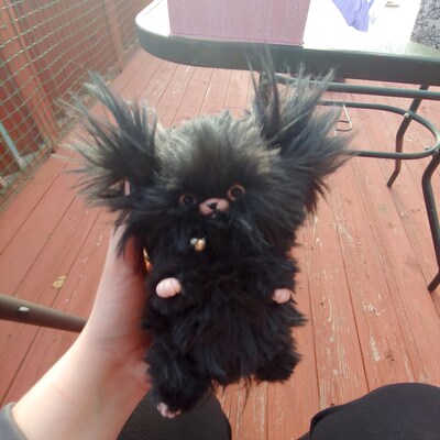 Lykoi Kitten 3 Different Styles - Etsy