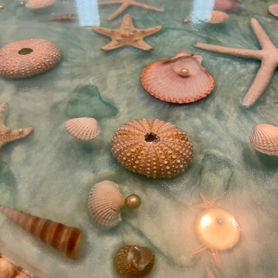 White Sea Shell Mix Beach Wedding Decor Sea Shells Bulk Bag of - Etsy