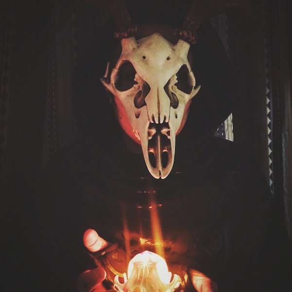Cervine Skull Mask - Etsy