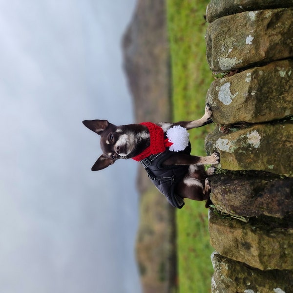 Christmas Dog Scarf With Pompom - Available in 4 Colour Schemes - Santa ...
