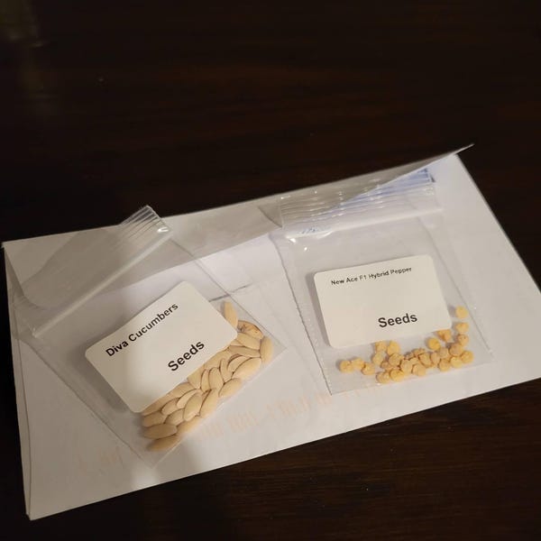 Moon & Stars Watermelons (cherokee) Seeds - Etsy