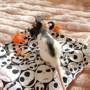 Rat Teddy. Plush Teddies Super Soft. Teddies for Rats | Etsy UK