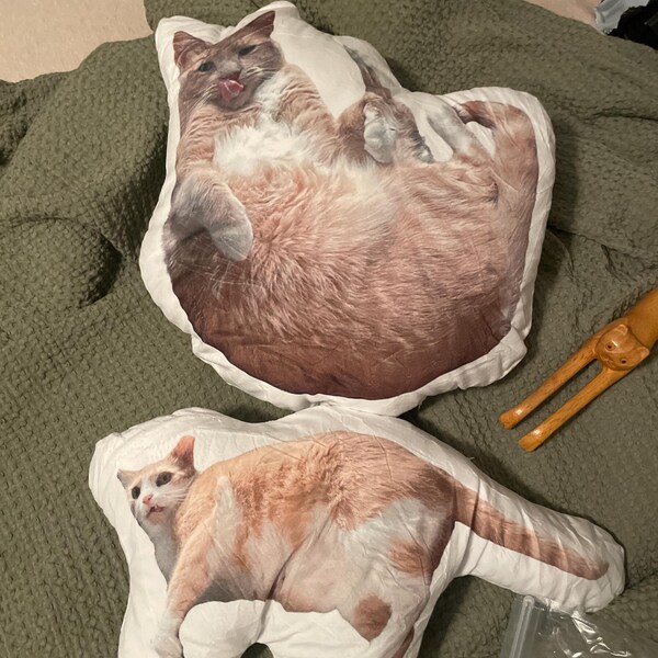 Custom Cat Pillow, Personalized 3D Cat Pillow, Ugly Cat Pillow, Cat ...