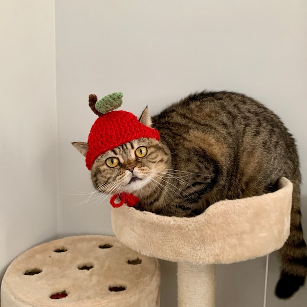Apple Hat for Cats - Etsy