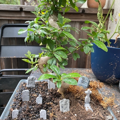 Tiny Cemetery Mausoleum Crypt Cement Potted Plant Terrarium Decorations ...