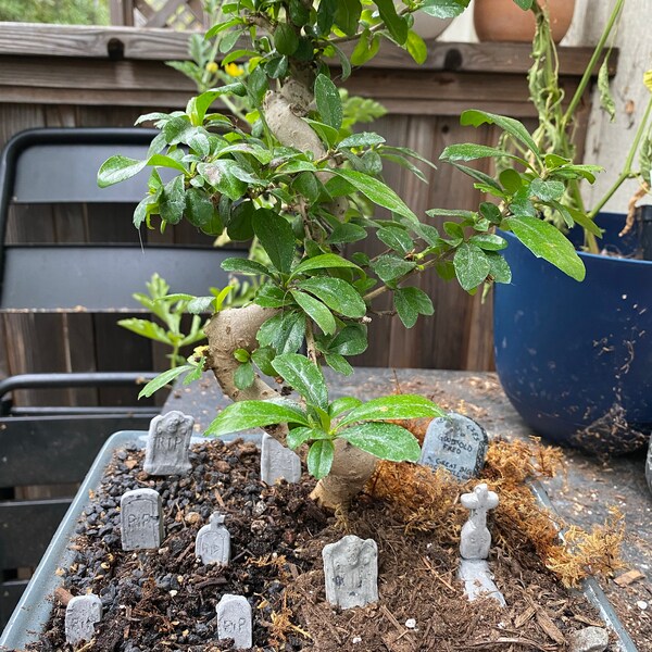 Tiny Cemetery Mausoleum Crypt Cement Potted Plant Terrarium Decorations ...