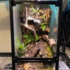 20 & 29 Gallon Terrarium Conversion Kit - Etsy