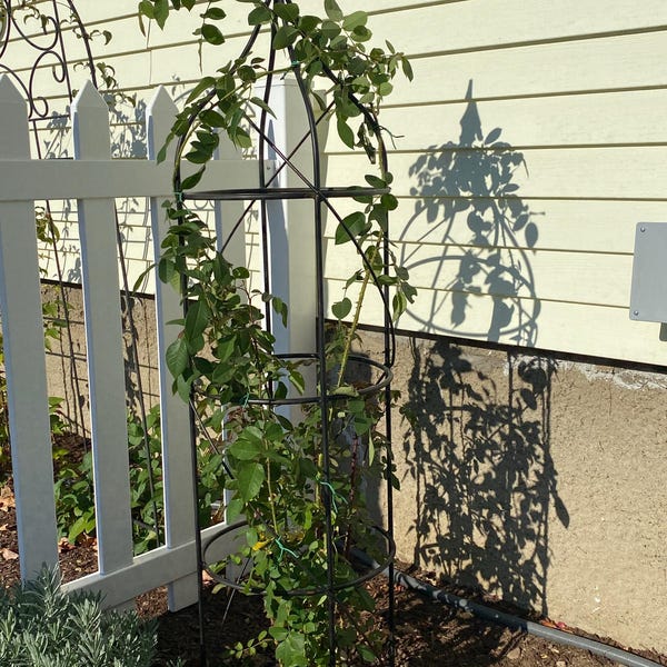 Wrought Iron 25 Cone Topiary Flower Trellis, Metal Plant Climber ...