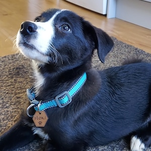 Personalised Pet Tag, Wood Pet Tags, Gift for Animal Lovers, Gifts for ...