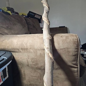 Roman Vitis Stick 3638 etsy - Etsy