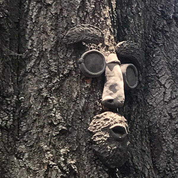 Shademaster Tree Face Concrete Garden Decor Gift - Etsy