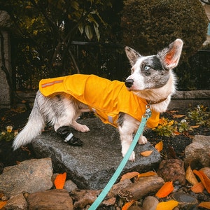 Corgi Rain Jacket - Etsy
