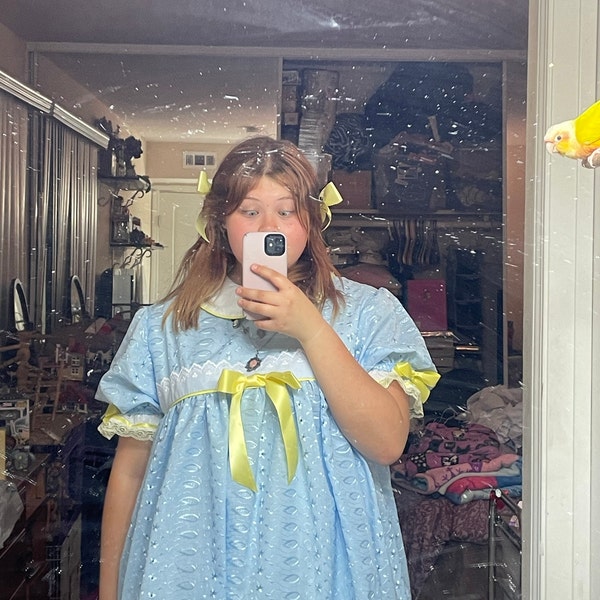 WYSIWYG Adult Baby Sissy Littles Abdl BLUEY DRESS Set My Binkies and ...