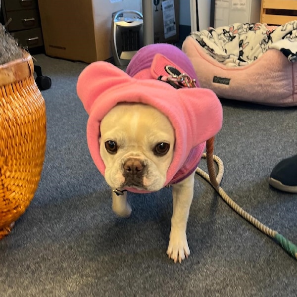 Frenchiestore Organic Dog Frenchie Ear Warmers | Pink - Etsy