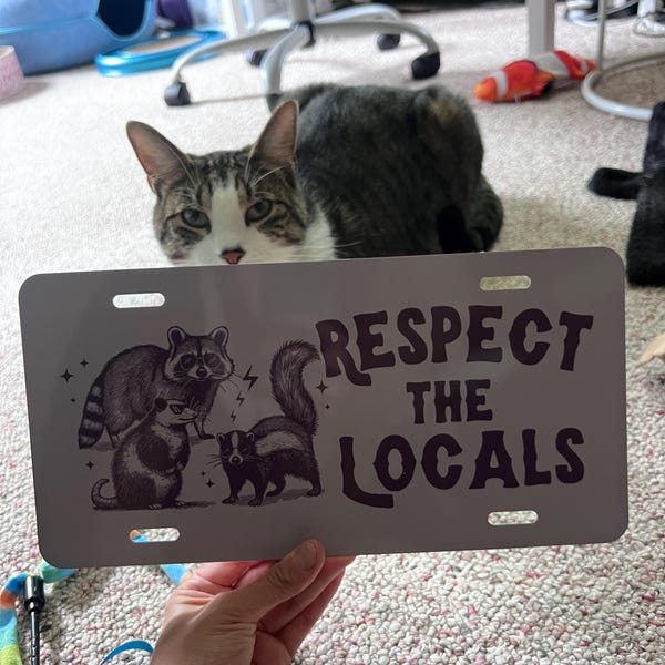 Respect the Locals License Plate: Funny Raccoon Car Decor - Etsy