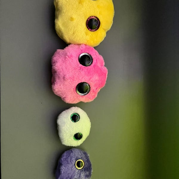 Worry Buddy, Sensory Comfort Toy, Autism Toy for Kids, Fuzzy Sensory ...