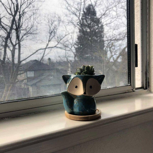 Cute Turquoise/brown Fox Animal Planter Pot With Living Succulent ...