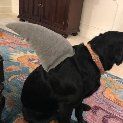Shark Fin for Dogs, Dog Halloween Costume, Cosplay Accessory, Shark ...