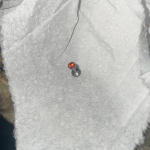 1.5mm Super TINY DISC Threadless Stainless Steel Piercing Tragus ...