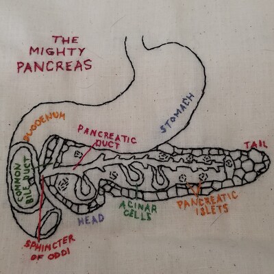 DIY Pancreas Embroidery Pattern, Pancreas Anatomy Art, Medical ...