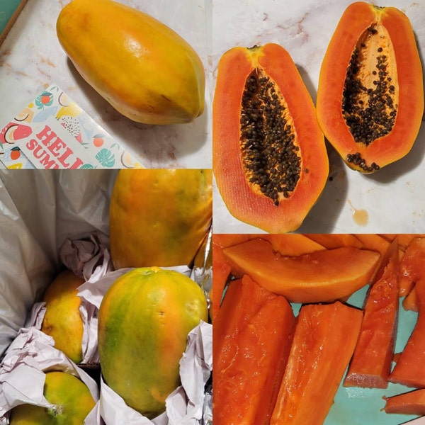Tropical Fresh Papaya Box - Etsy