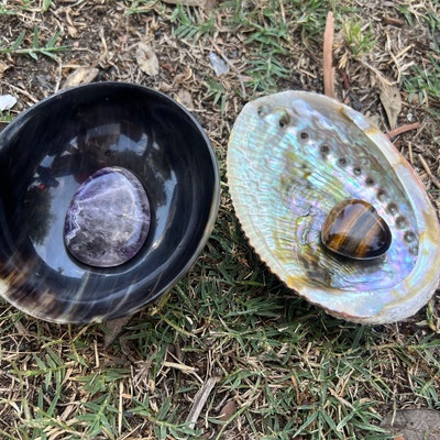 XL Natural Abalone Shell, Premium Blue Abalone, Blue Green Large ...