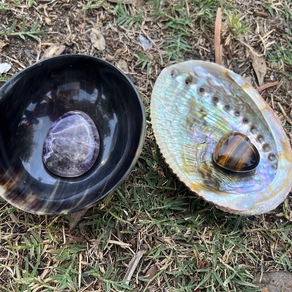 XL Natural Abalone Shell, Premium Blue Abalone, Blue Green Large ...