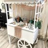 Decorative Carriage | Victorian Carriage | Princess | Birthday Idea ...