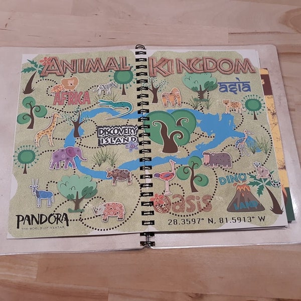 Digital EPCOT (adult Version!) World Showcase Printable Passport - Etsy