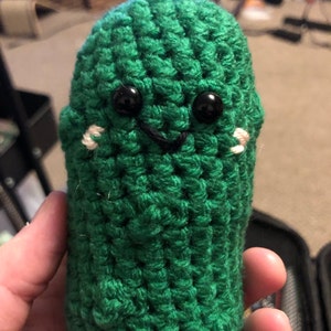 PATTERN ONLY, Easy Pickle Crochet Pattern, Instant DOWNLOAD - Etsy