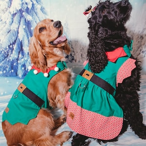 Dog Pants Sewing Pattern 1506 Dog Clothes Pattern Dog | Etsy