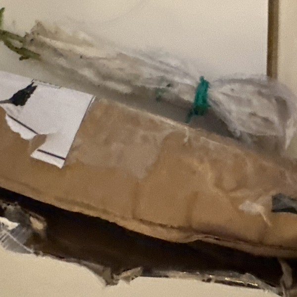 25 Four O'clock 'salmon Sunset' Mirabilis Jalapa Seeds "salmon Pink ...