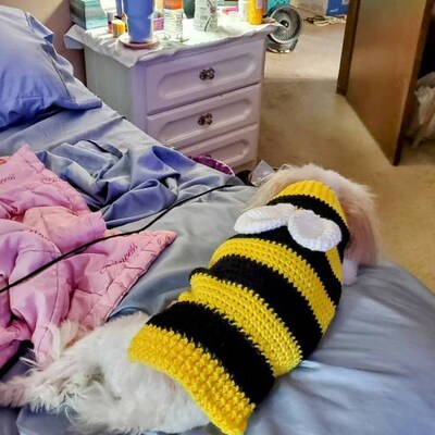 Bumblebee Dog Sweater / Halloween Costume Available in 4 Sizes - Etsy