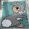 Thumper Rabbit Bunny Mini C2C Crochet Pattern - Etsy