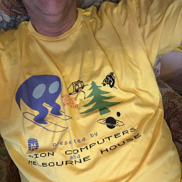 Mens Funny T-shirt Rude Seagull Design Regular Fit 100% Cotton Tee - Etsy