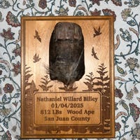 Rat Christ Ooak Cursed Crucifix Sculpture - Etsy Canada