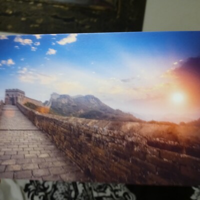 Fun USPS Lion Poem Postcard Happy Mail Poetry Postcard Lion - Etsy